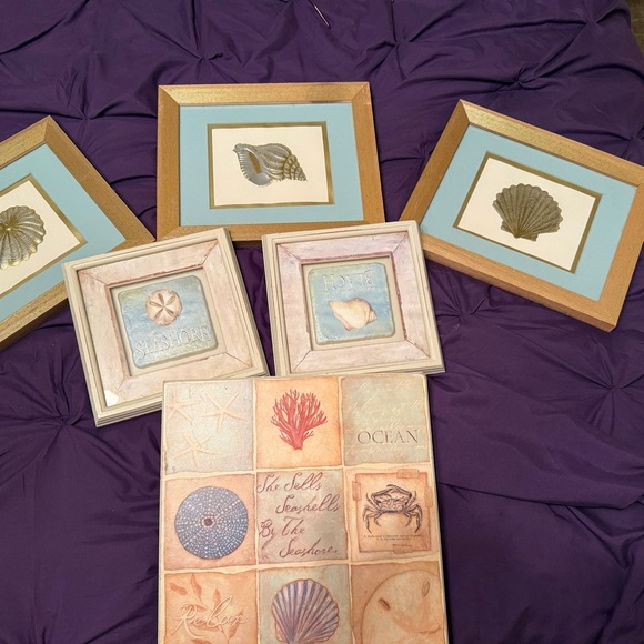 Accents | Coastal Seashell Framed Wall Art Set | Poshmark